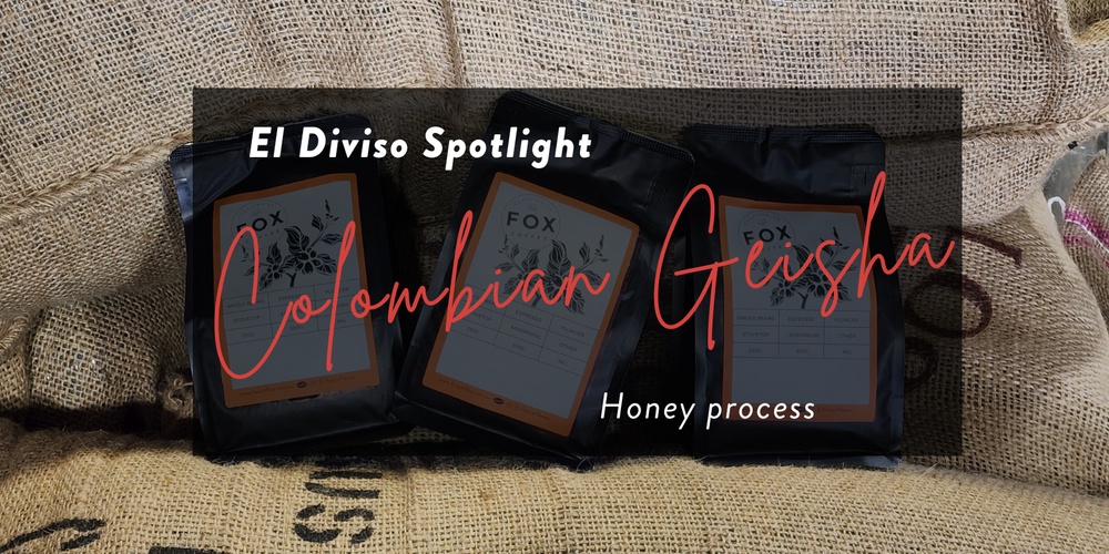 El Diviso Coffee Flight Trio: Geisha Honey - Fox Coffee